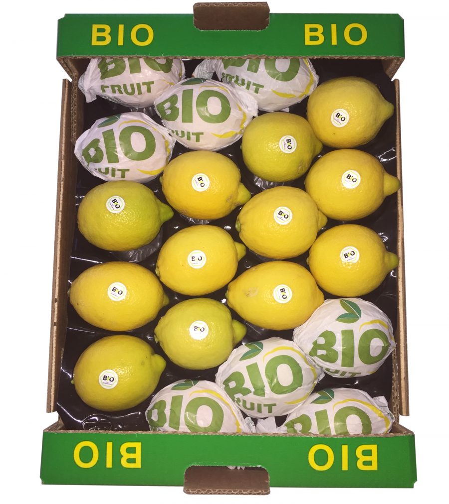 Bio Fruit – Fruchtagentur
