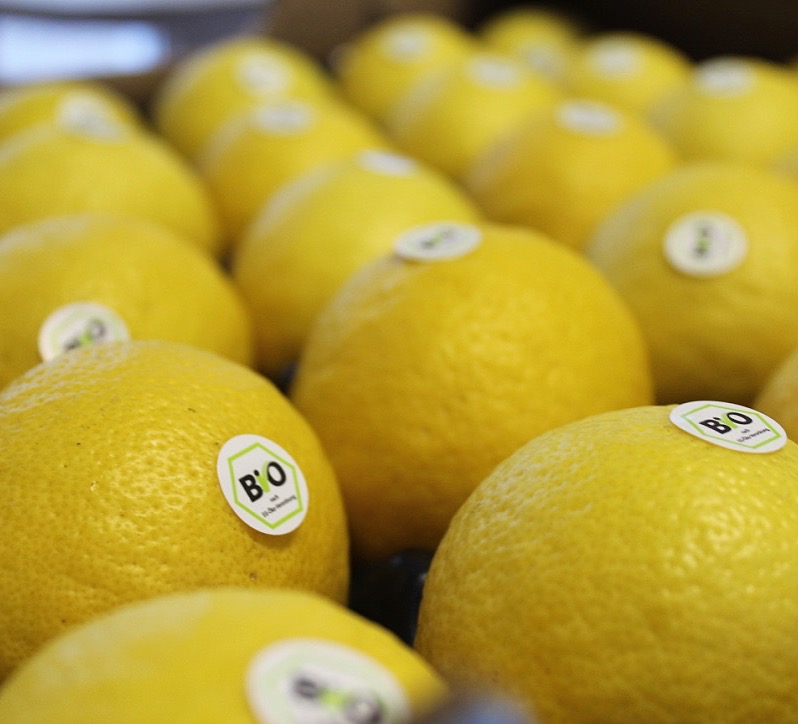 Zitronen aus Siracusa – Sizilien – Fruchtagentur